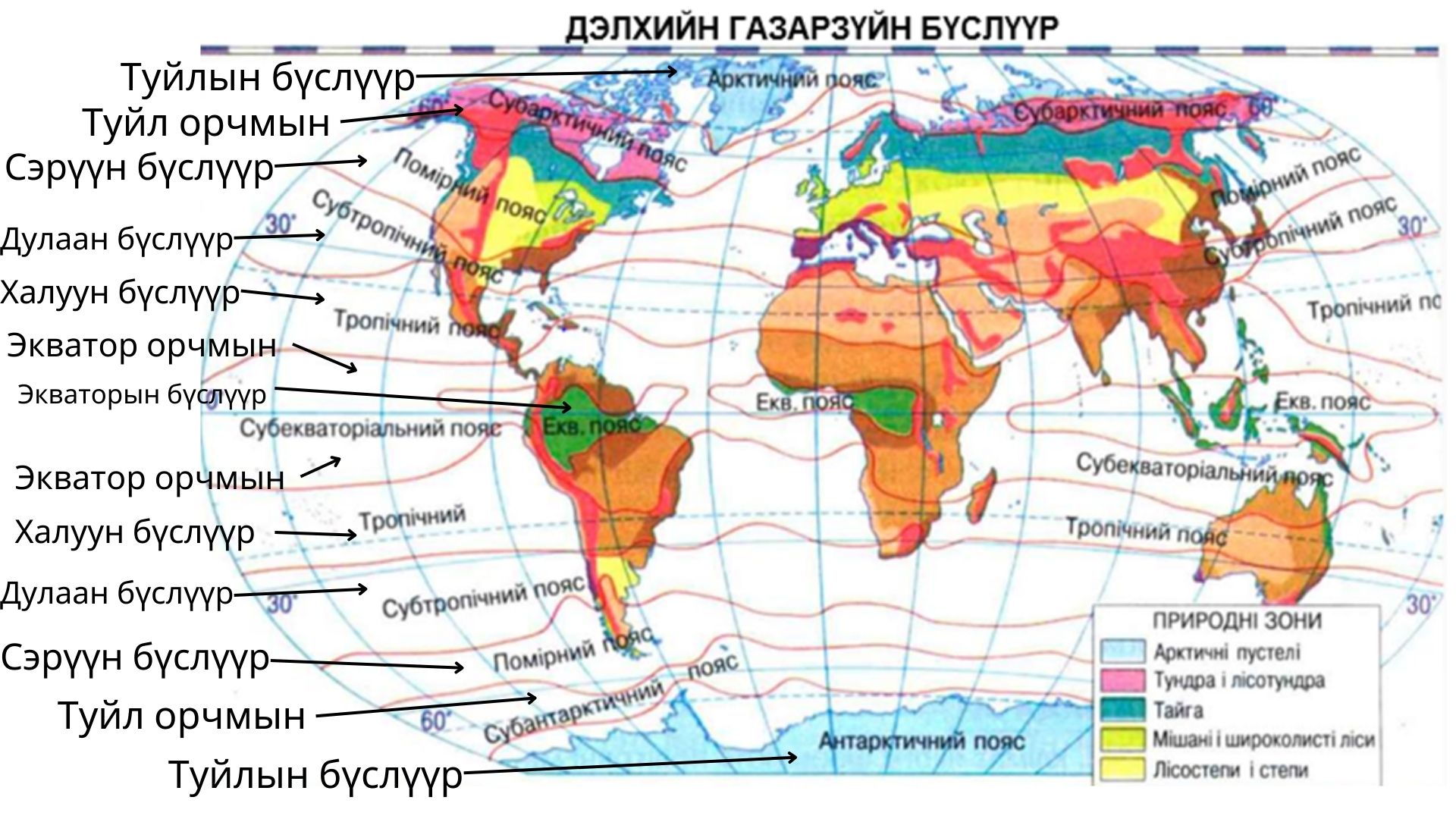 Мэдлээ Цахим контент